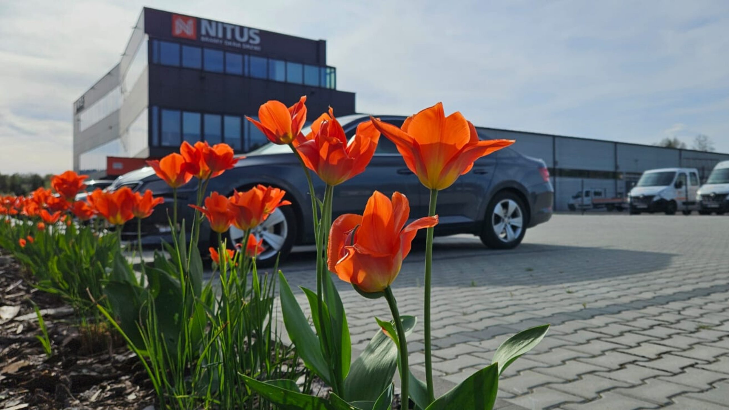 Świętujemy jubileusz – wspólna droga rozwoju - Nitus